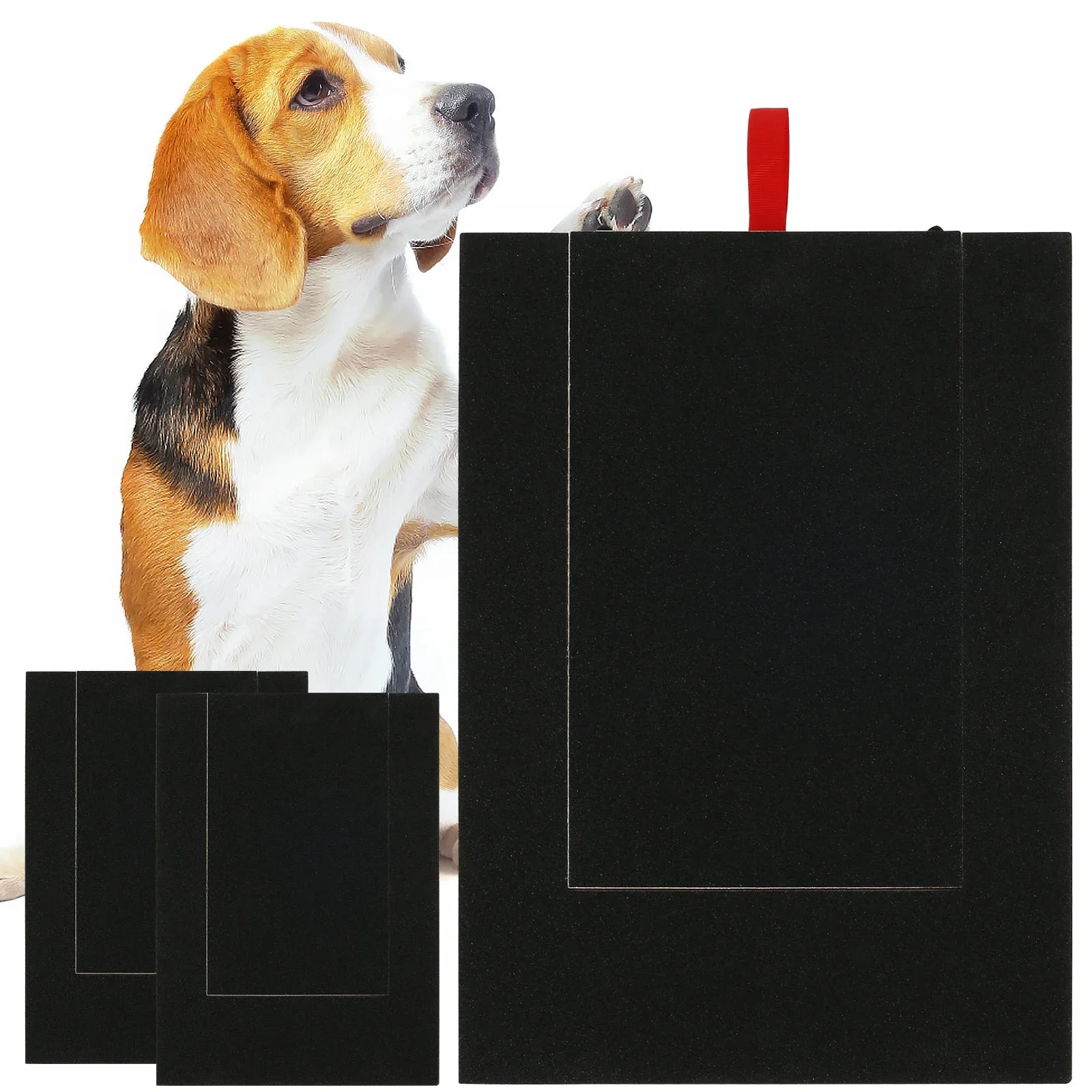 Dog Scratch Board with Built-in Snack Box – Tail Wagging Retreat